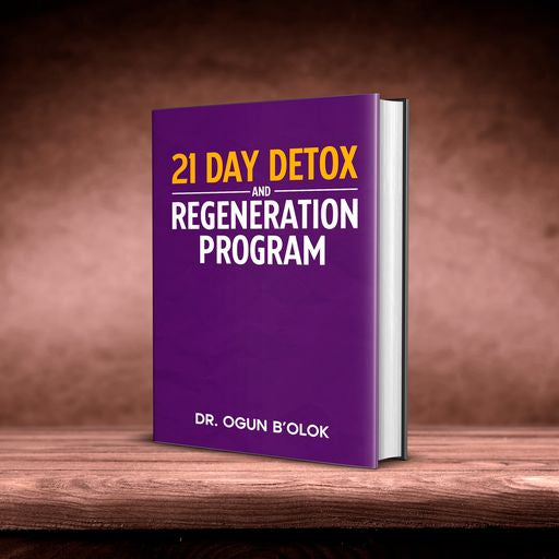 GENERAL MEAL PLANS – Dr.Ogun Sacred Healing